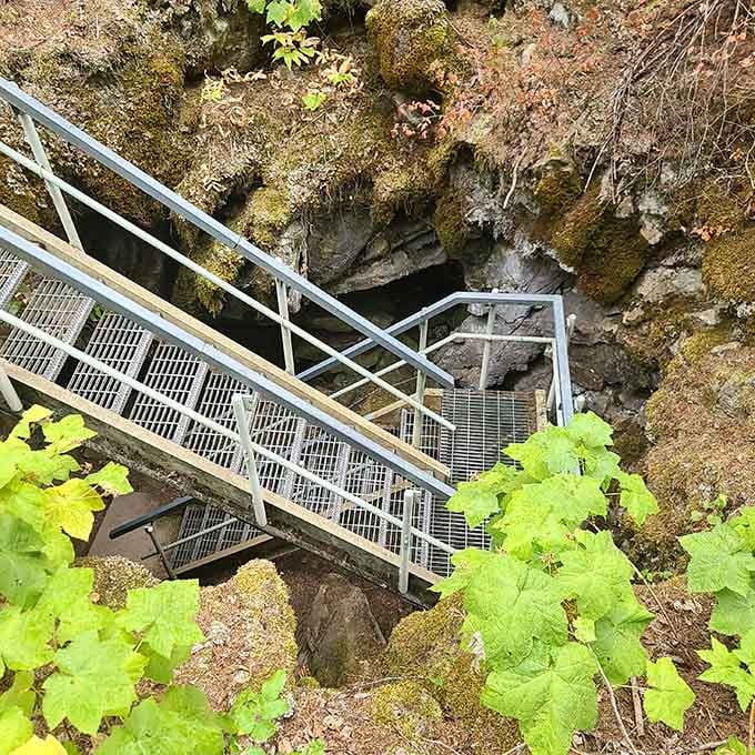 The entrance staircase offers a preview: moss-covered rocks, filtered sunlight, and the promise of underground adventure ahead.