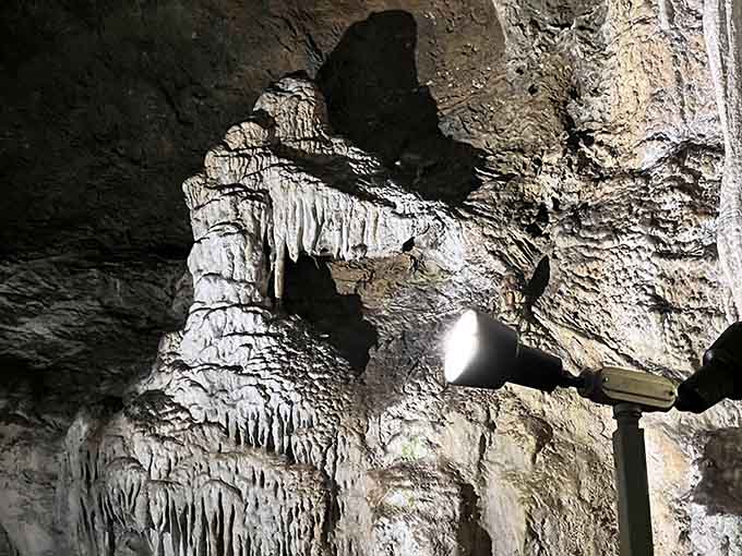 Towering columns rise where stalactites finally kissed stalagmites after thousands of years of patient geological courtship attempts.