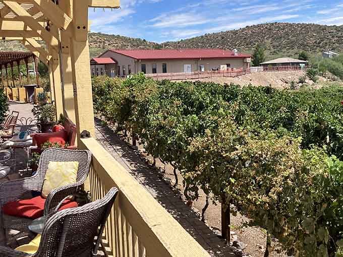 Waggin' Vineyard offers mountain views that pair perfectly with whatever you're sipping on that sunny patio.