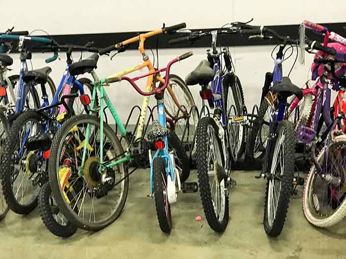 Two-wheeled treasures line up like a colorful parade, ready to roll into their next adventure at unbeatable prices.