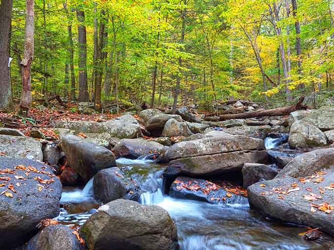 Water dancing over ancient rocks like nature's own meditation soundtrack, minus the subscription fee and annoying app notifications.