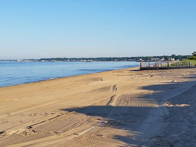 Early morning beach vibes when the sand still has that fresh-groomed look before humanity shows up with coolers.