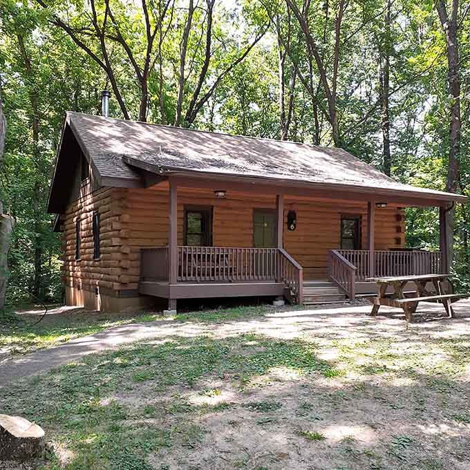 These cozy log cabins offer the perfect blend of rustic charm and modern comfort for your woodland getaway.