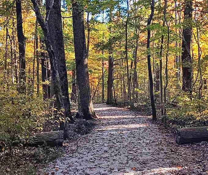 Fall colors transform the Boundary Oak Trail into something straight out of a Hallmark movie, minus the commercials.