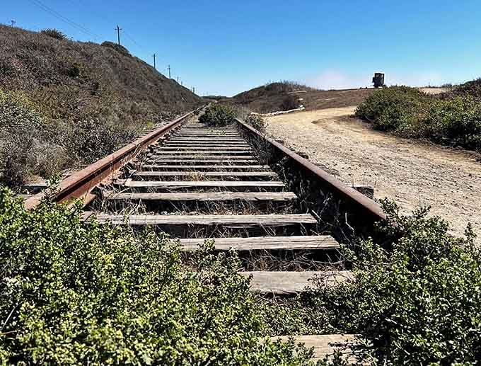 Old railroad tracks leading nowhere remind you that some journeys are about the destination, not the rails.