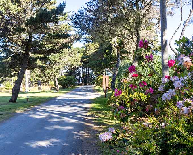 The driveway winds through blooming flowers that make your suburban HOA's landscaping look downright embarrassed.