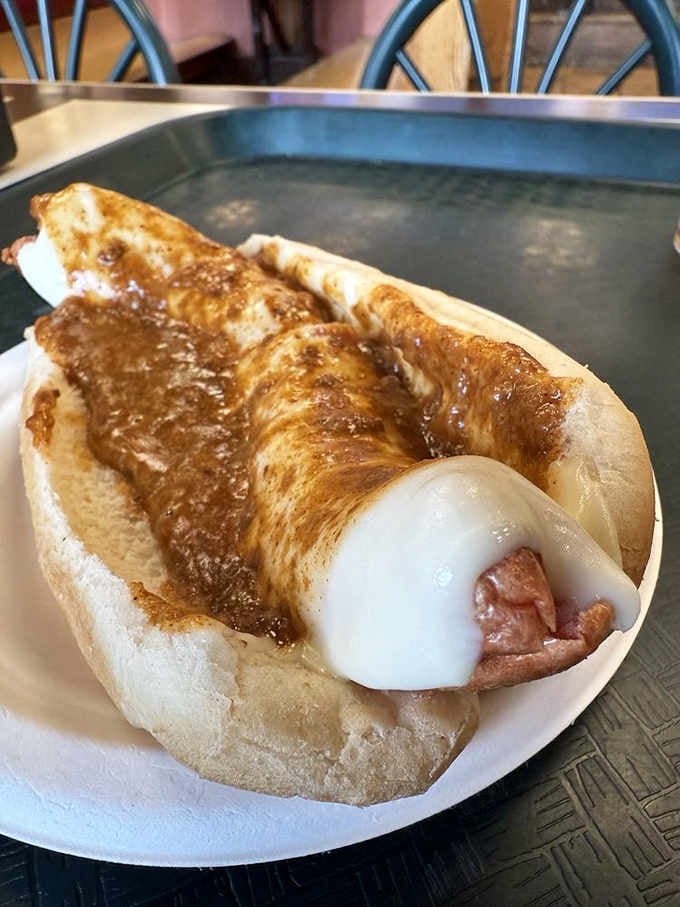 That generous blanket of chili and onions transforms a simple hot dog into a handheld masterpiece worth writing home about.