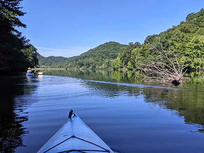 Paddling these calm waters beats sitting in traffic by approximately one million percent, give or take.