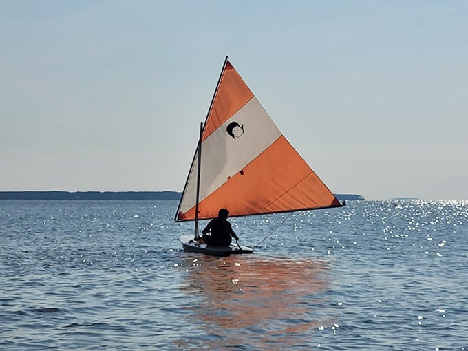 Sailing the Sound on a Sunfish, where the only traffic jam involves pelicans and the occasional curious dolphin passing by.
