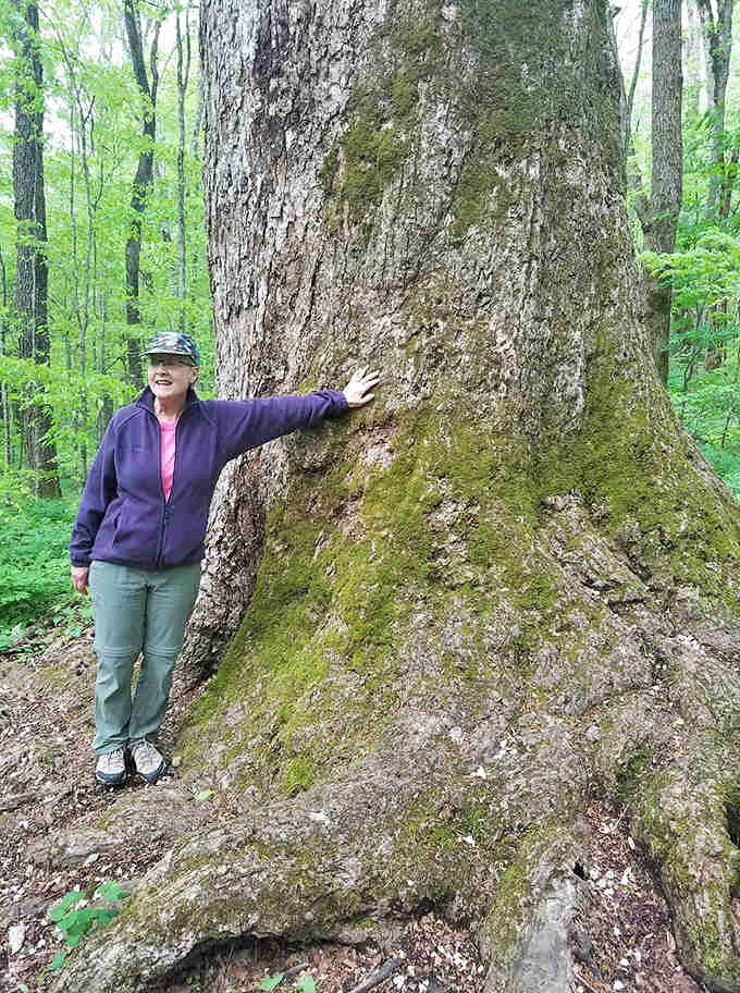 When you need an entire person to show the scale of a tree, you're definitely not in Kansas anymore.