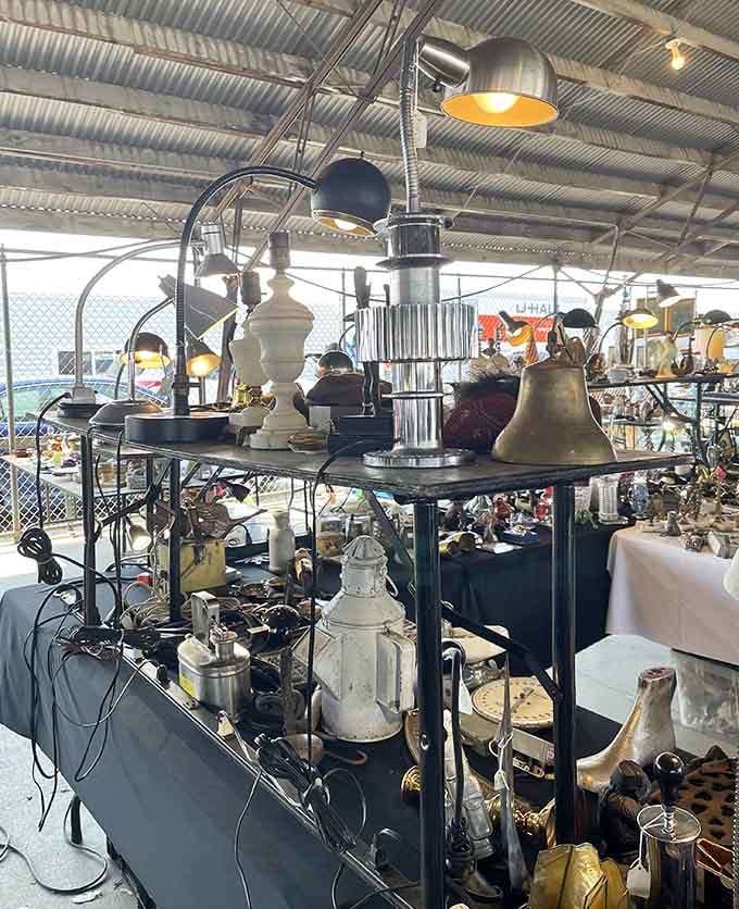 Vintage lamps glow with possibility, each one ready to illuminate your home with more character than any big-box store.