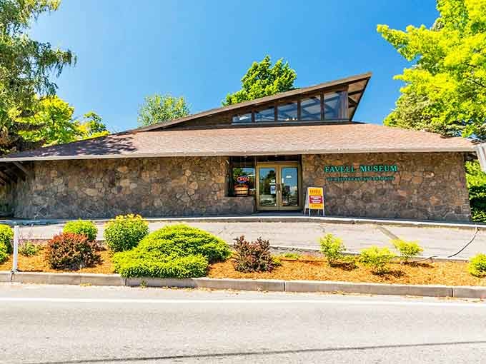 The Favell Museum's distinctive roofline hints at the treasures waiting inside this cultural gem.
