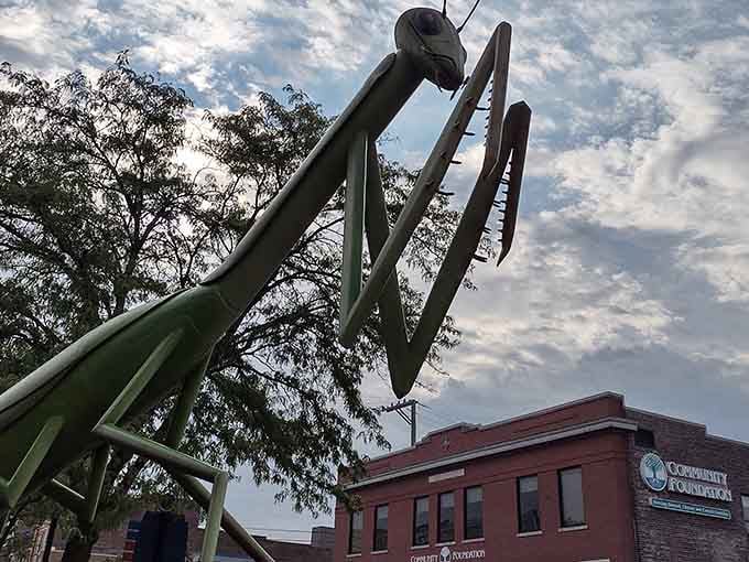 The KokoMantis looms over Community Foundation like a benevolent guardian, protecting downtown from boring architecture choices everywhere.
