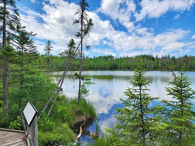 Big Bog Lake reflects the sky so perfectly you might get dizzy trying to figure out which way is up.