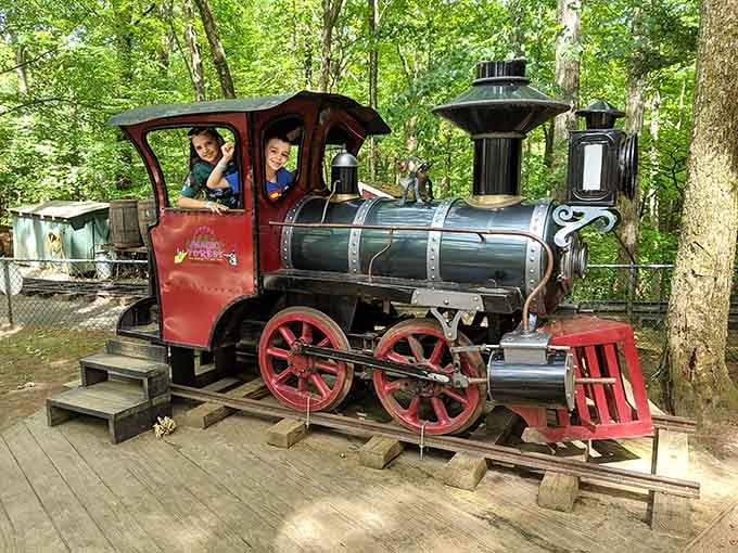 All aboard this charming locomotive where imagination chugs along at the perfect nostalgic speed for everyone.