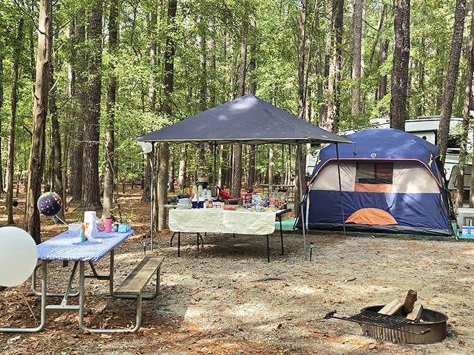 Someone's birthday celebration setup looks more inviting than most five-star resorts, complete with forest air conditioning.