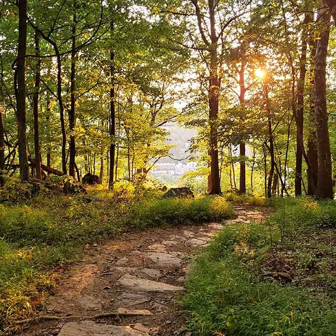 Sunlight filters through the canopy on trails where nature provides the entertainment and admission is absolutely free.