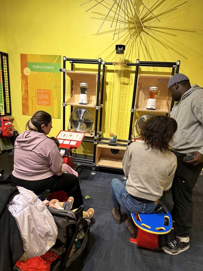 Watch energy transform before your eyes as families discover that science is way more fun when it involves pedaling and competition.