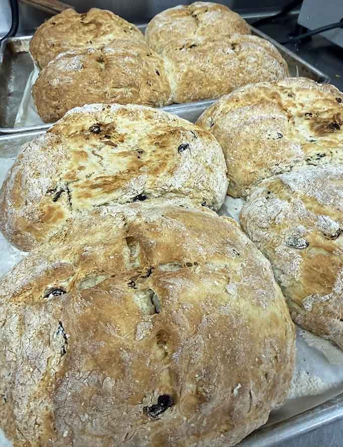 Fresh-baked Irish soda bread with those gorgeous golden crusts that crackle when you bite into pure comfort food heaven.