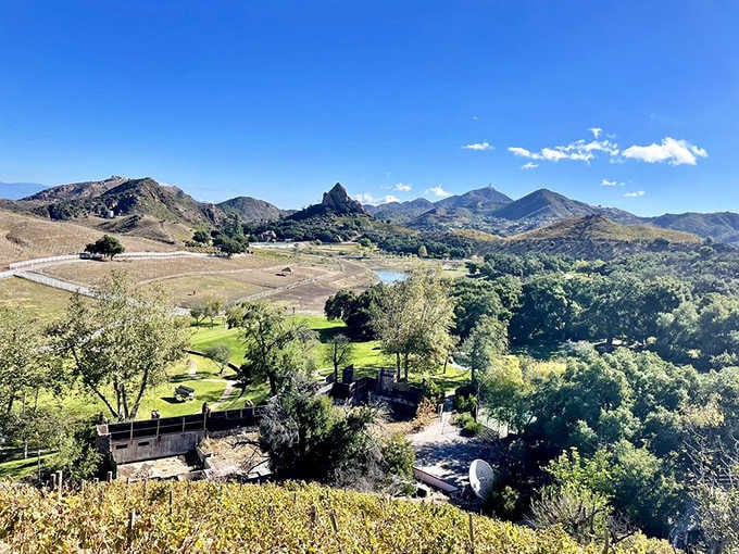 When the vista includes rolling hills and distant peaks, you understand why people hike for their wine.