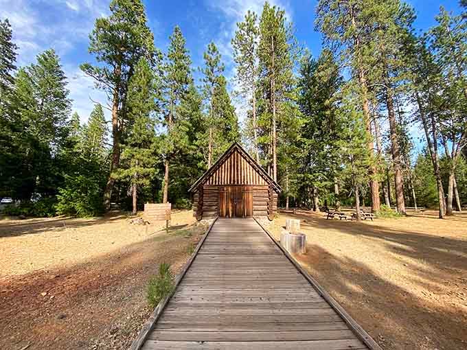 This rustic cabin sits nestled among towering pines, offering that classic state park experience we all crave.