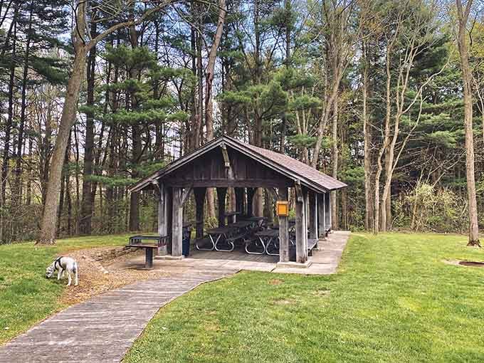 A picnic shelter that's seen countless family gatherings, first dates, and probably a few marriage proposals.