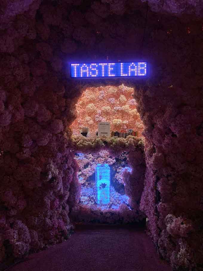 The Taste Lab glows with an invitation to explore flavors in ways you never imagined possible.
