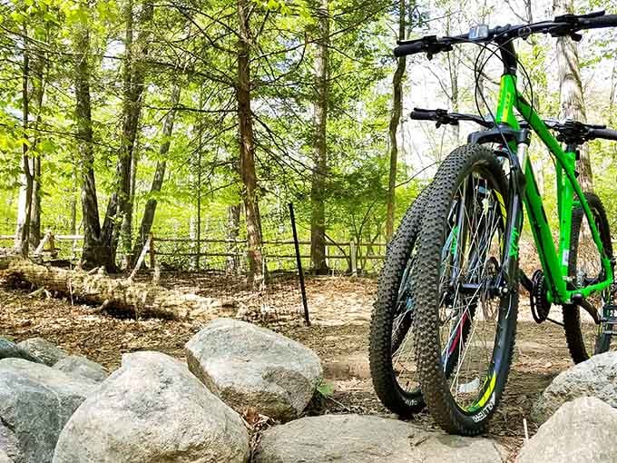 Mountain bikers discover what hikers already know: these trails offer the kind of workout that doesn't feel like punishment.