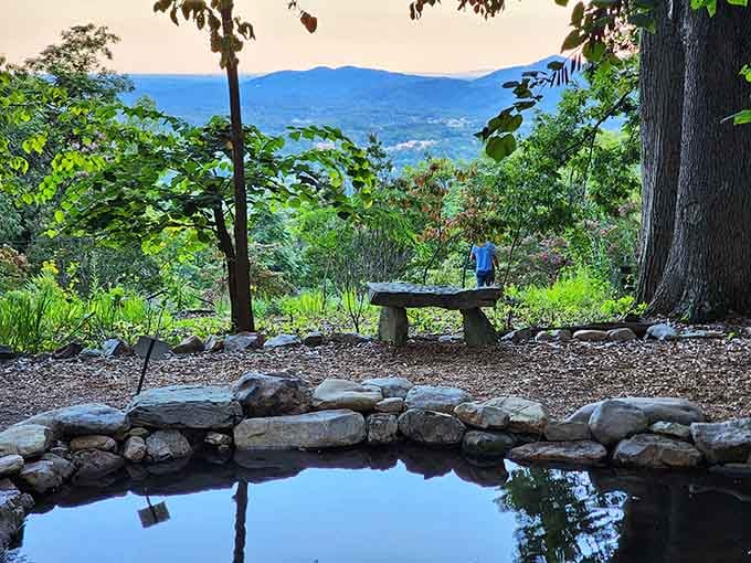 Peaceful picnic spots with mountain vistas turn simple sandwiches into five-star dining experiences worth savoring slowly.