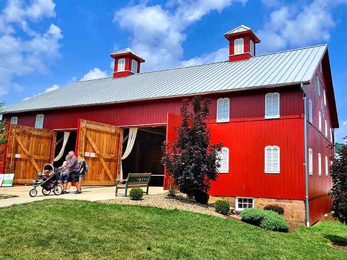 This red barn pops against the sky like a Midwestern postcard, minus the cheesy filters and hashtags nobody asked for.