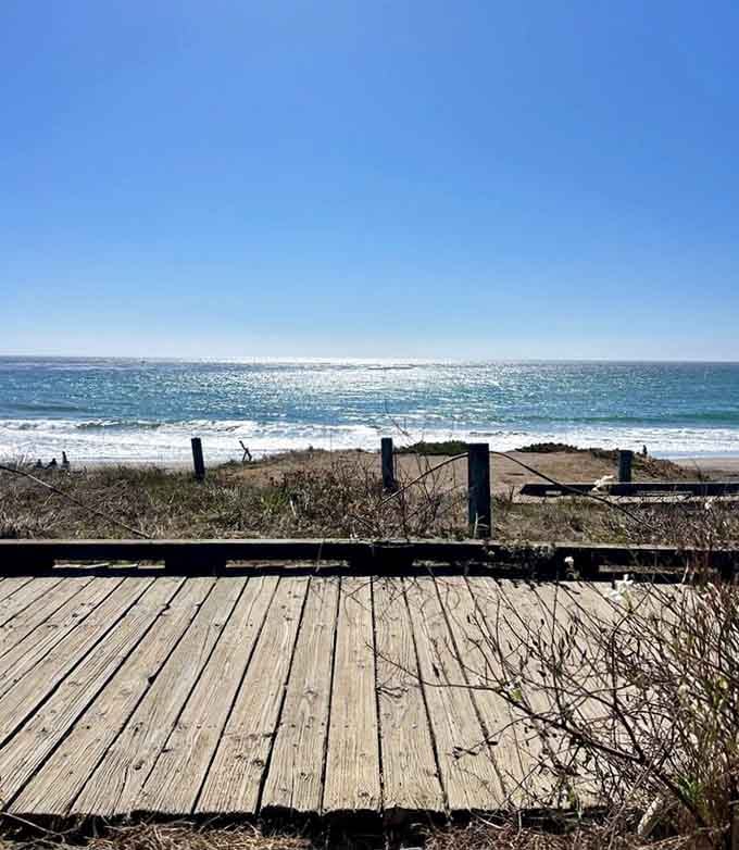 That sparkling ocean view is basically nature's way of showing off, and honestly, we're not complaining one bit.