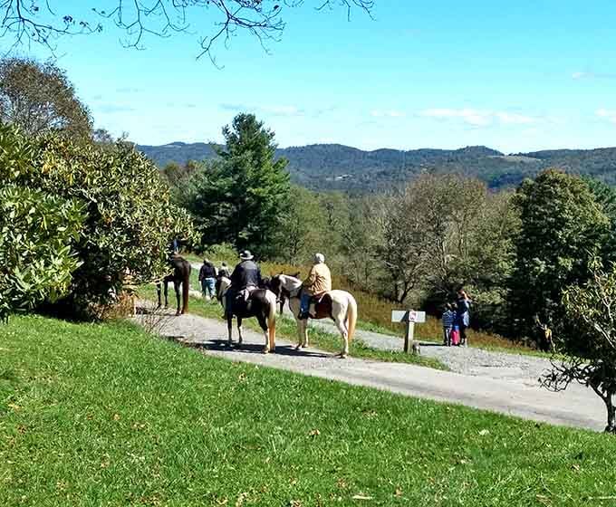 These carriage trails were literally made for horses, so your hiking boots are basically overqualified here.