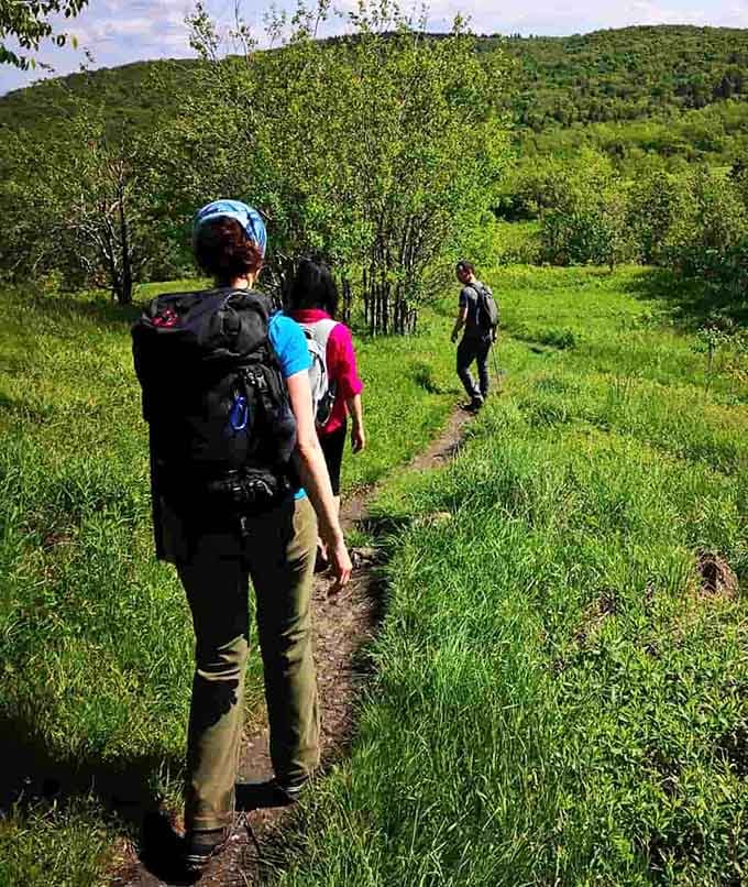 Hikers traverse green meadows where the trail ahead promises views that'll make your calves forgive you.