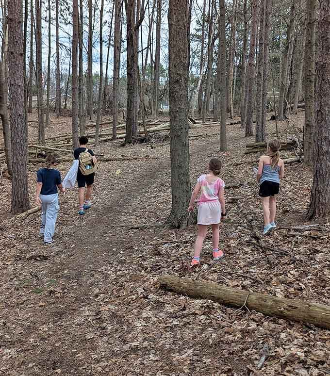 Kids exploring the woods like they're on their own nature documentary. Screen time officially defeated for today.