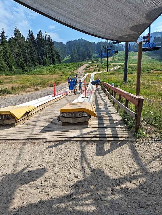 The launch point where anticipation meets gravity, and sensible decisions take a brief vacation.