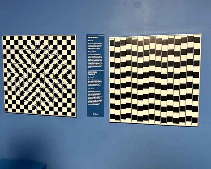 These checkerboard patterns will have your eyes doing gymnastics they never trained for in school.