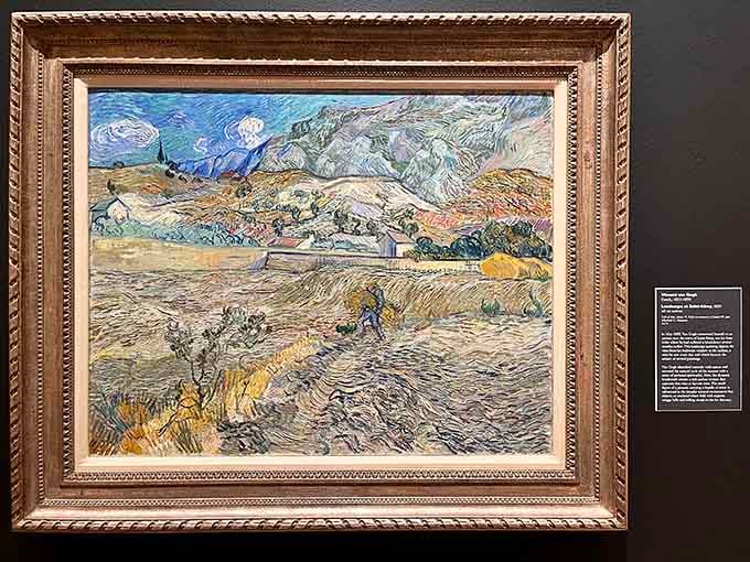 Van Gogh's swirling brushstrokes capture the French countryside with an energy that practically vibrates off the canvas.