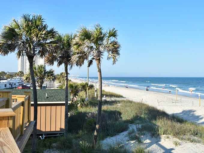Palm trees, ocean views, and sandy dunes create the perfect trifecta of coastal paradise right outside your door.