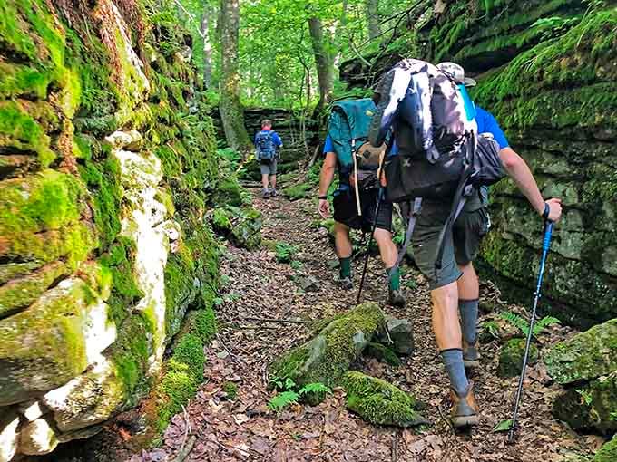 These trails wind through forests so lush, you'll forget your phone exists for at least twenty glorious minutes.