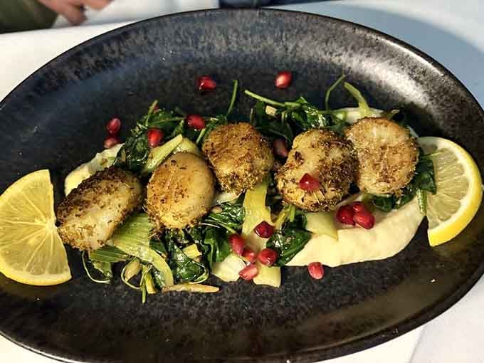 Scallops so perfectly seared they practically glow, nestled on greens like edible jewels waiting to be discovered.