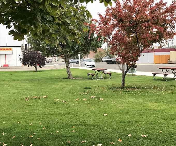 Autumn's paintbrush transforms ordinary trees into a masterpiece, creating the kind of scene Norman Rockwell would've loved.