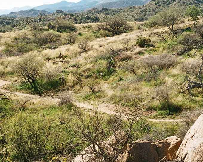 This landscape looks like someone photoshopped Montana onto Arizona, and honestly, we're not complaining about the results.