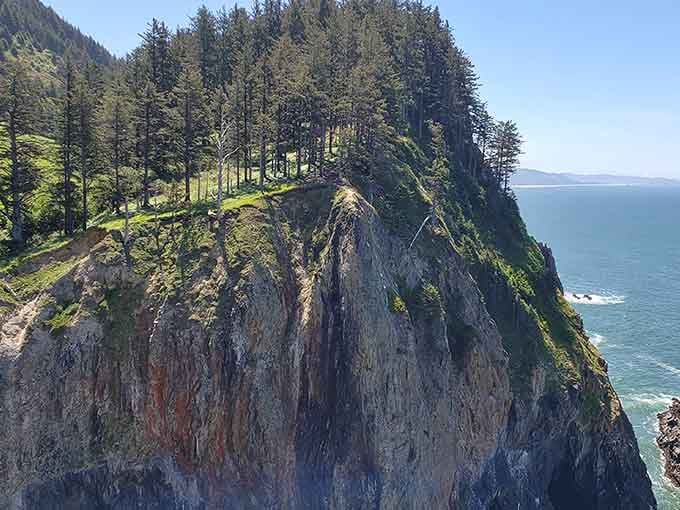 Cape Falcon juts into the Pacific with the confidence of a headland that knows it's absolutely stunning.