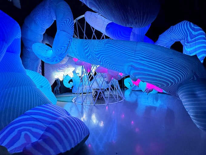 Blue ribbons of light twist through space, creating sculptures that seem to breathe and move.