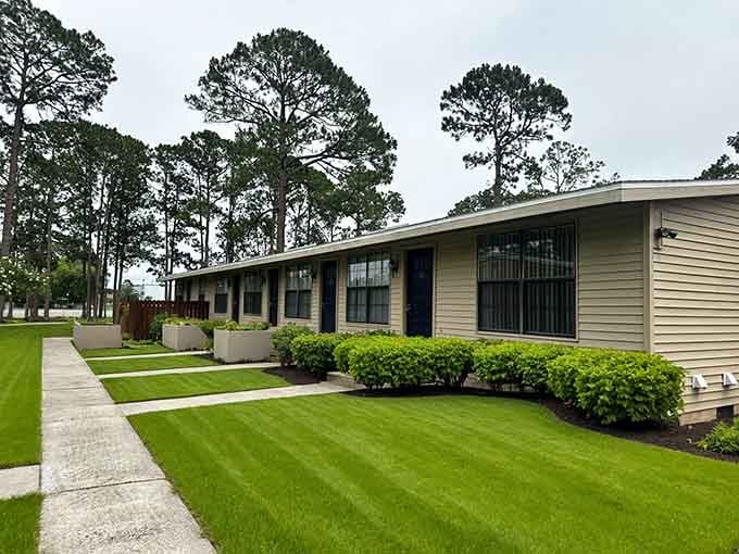 Palatka Oaks shows that reasonable rent and palm trees can actually coexist in modern Florida.