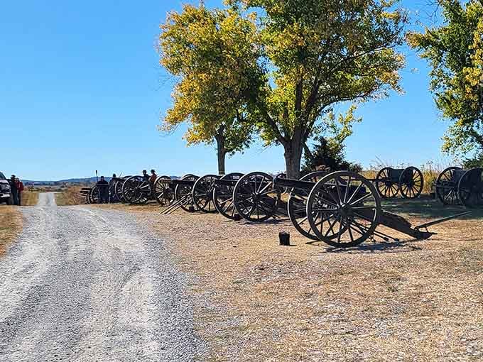 Artillery lined up like they're waiting for the world's most serious group photo opportunity.