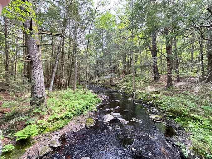 Follow this babbling brook and you'll find peace, quiet, and possibly a very confused city person.