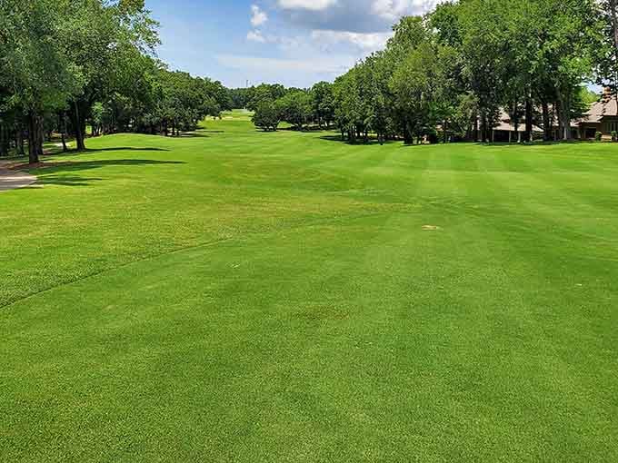 Fairways so green and pristine, they make your lawn look like it's given up entirely.