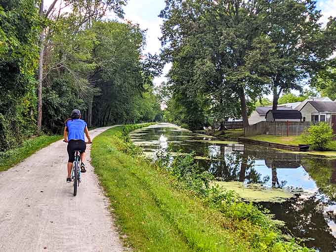 Cycling along the canal where the only traffic jam involves ducks and the occasional determined turtle.