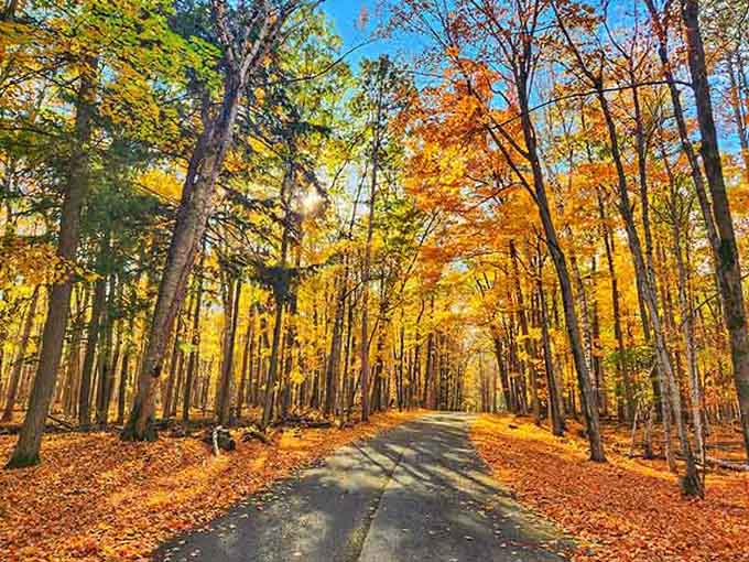 Fall foliage transforms ordinary roads into scenes straight out of a New England postcard.